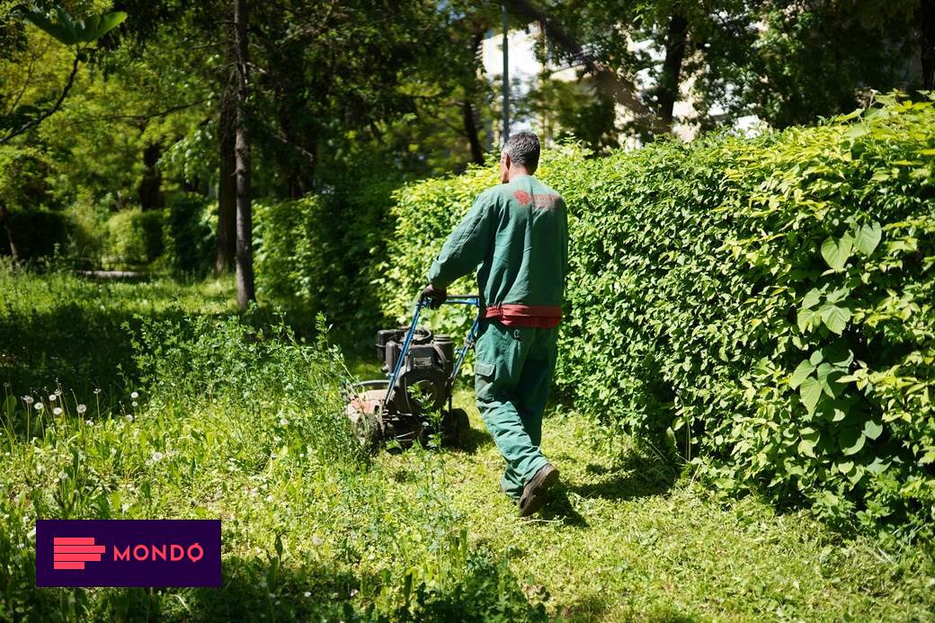 "Trava raste toliko brzo da bi se mogla kositi svaki dan" | Info | Društvo
