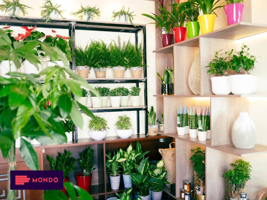 Kada se zalijeva cvijeće | Magazin | Dom