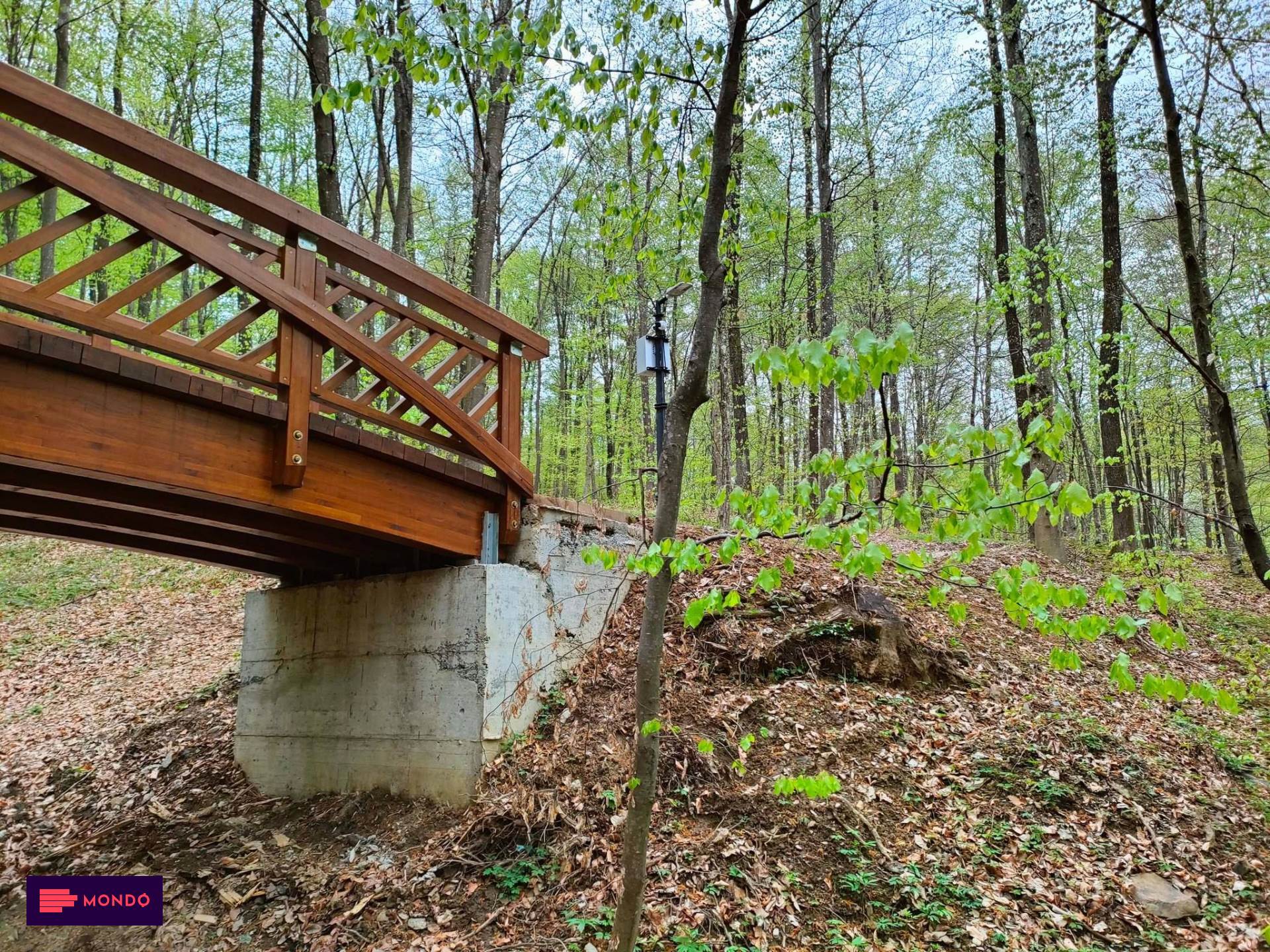 Park šuma u Slatini staze za šetanje | Zabava | Putovanja