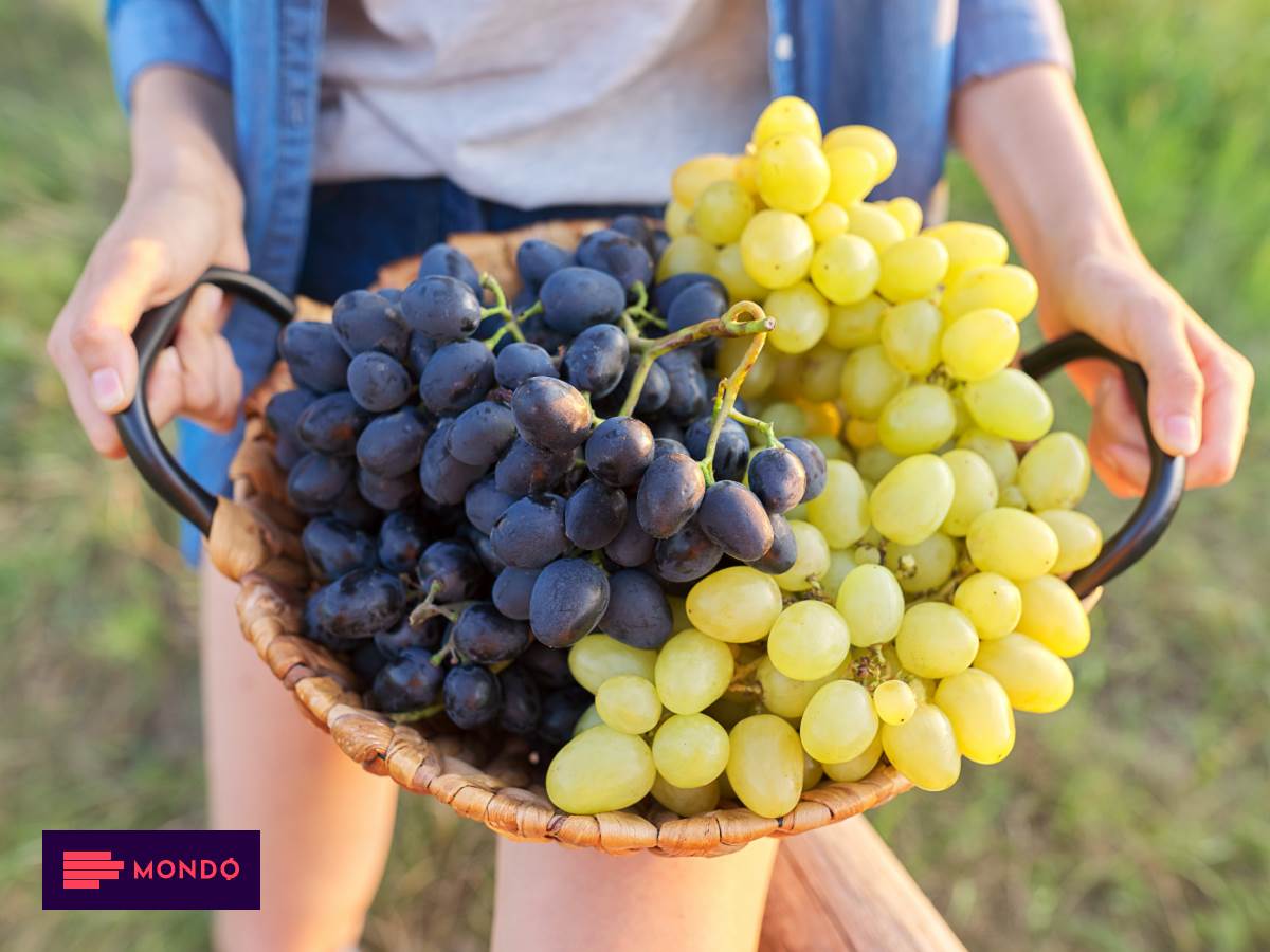 Grožđe produžava život | Magazin | Zdravlje