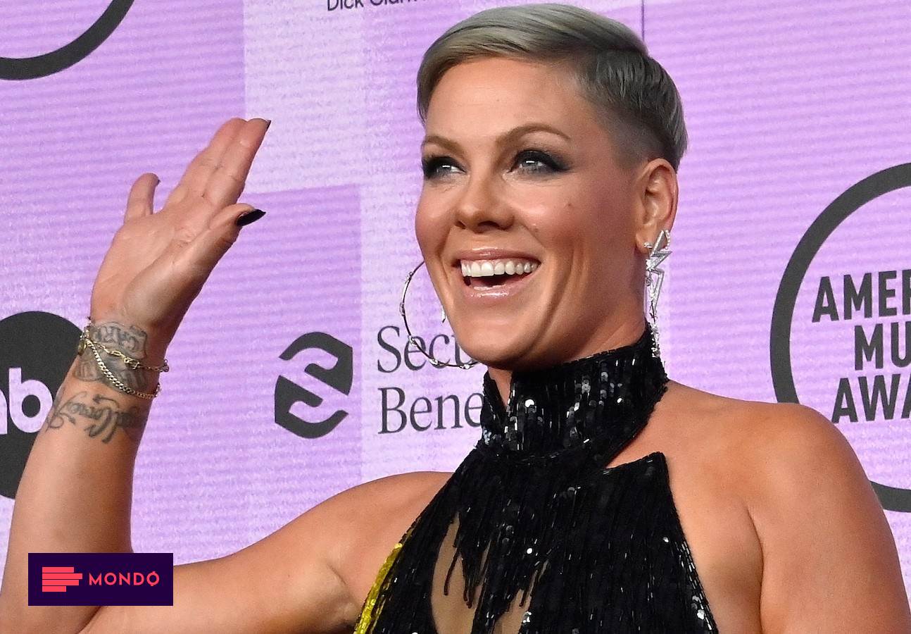 Kako danas izgleda pjevačica Pink | Zabava | Zvijezde i tračevi