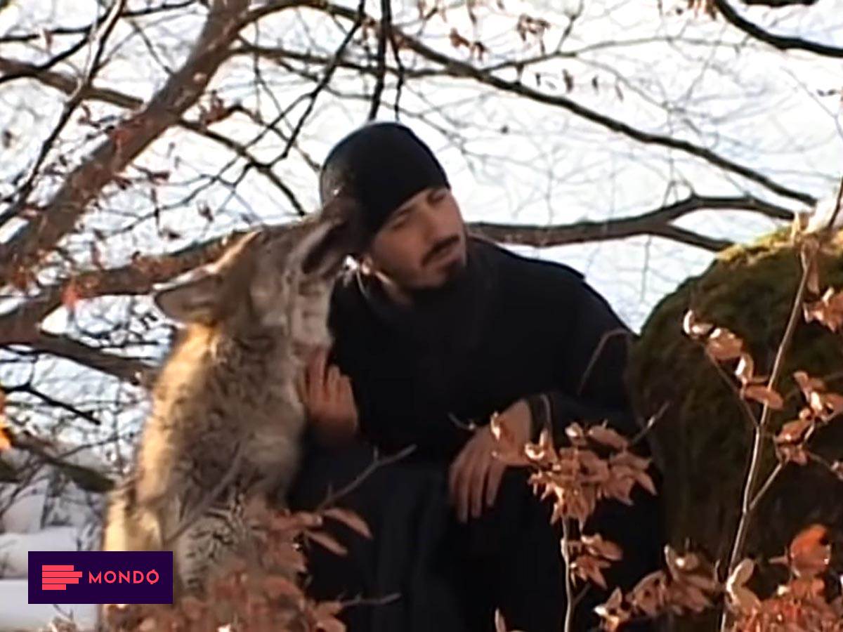 The monk Ambrose lives with the wolf Alpha | Info - Breaking Latest News