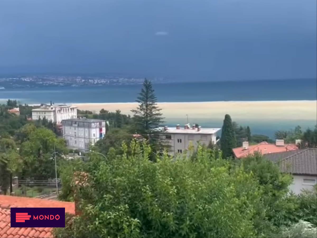 Zašto je žuto more u Hrvatskoj | Info | Region