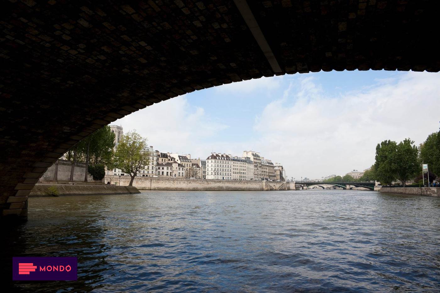Rijeka Sena u Parizu zagađena pred Olimpijske igre | Sport | Ostali ...