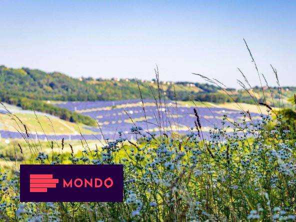 Solarna elektrana koju naseljavaju ptice, slijepi miševi i rijetke ...