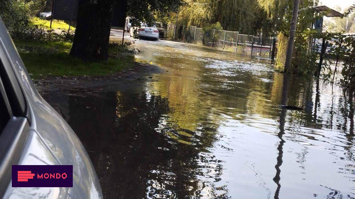 Vrh talasa tek stiže: Izlio se Dunav u Novom Sadu, poplavljene ...