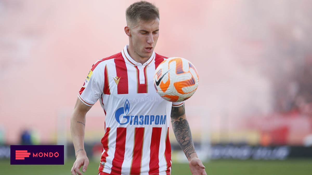 Veljko Nikolić karijera | Sport | Fudbal