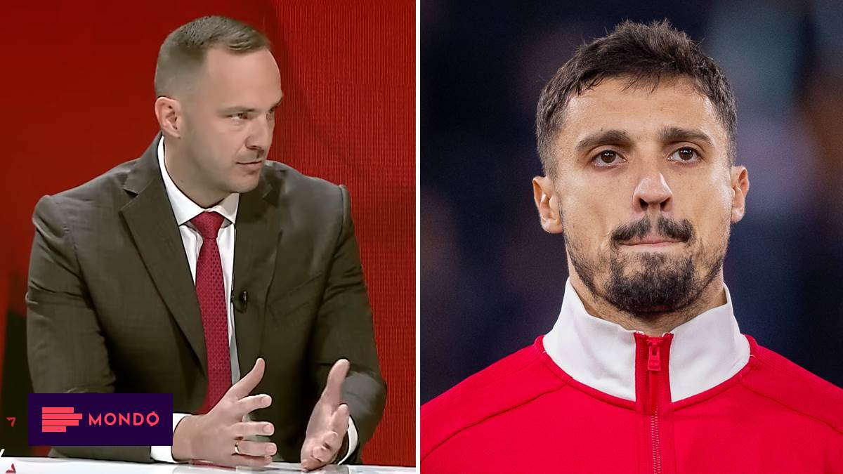 vico zeljkovic srbi nisu zabranjeni u reprezentaciji bih | Sport | Fudbal